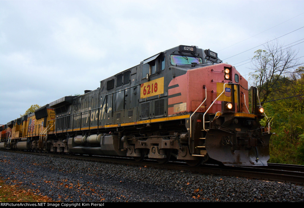 UP 6218 NS Train M6T